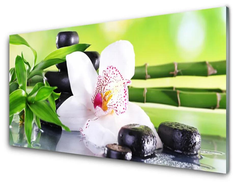 Plexisklo-obraz Orchidej Kameny Zen Bambus 120x60 cm