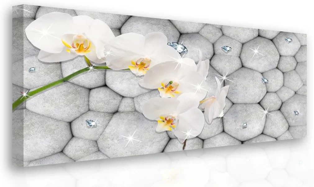 Obraz - orchidej s diamanty (120x80 cm) - InSmile ®