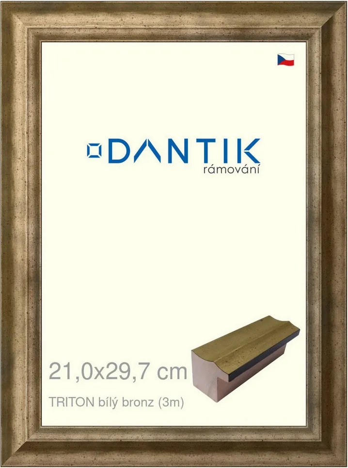 DANTIK rámeček 21x29,7 | TRITON bílý bronz (Sklo Čiré)