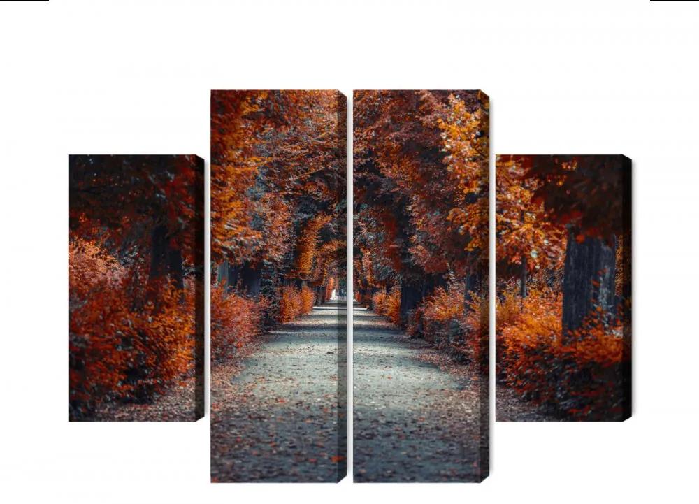 Vícedílný obraz Cesta Hluboko Do Podzimního Lesa Nedostatek Nedostatek Plátno Canvas 200x150