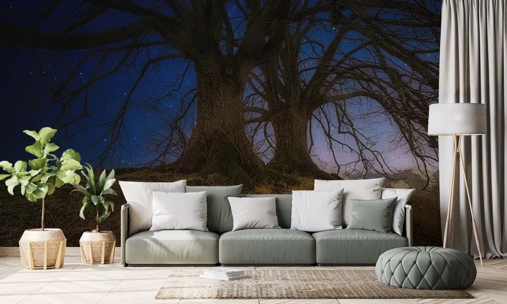 Samolepící tapeta stromy v noční krajině - 225x150 cm