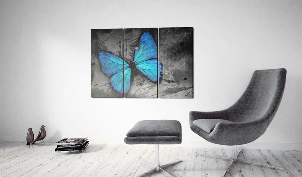 Obraz - The study of butterfly - triptych