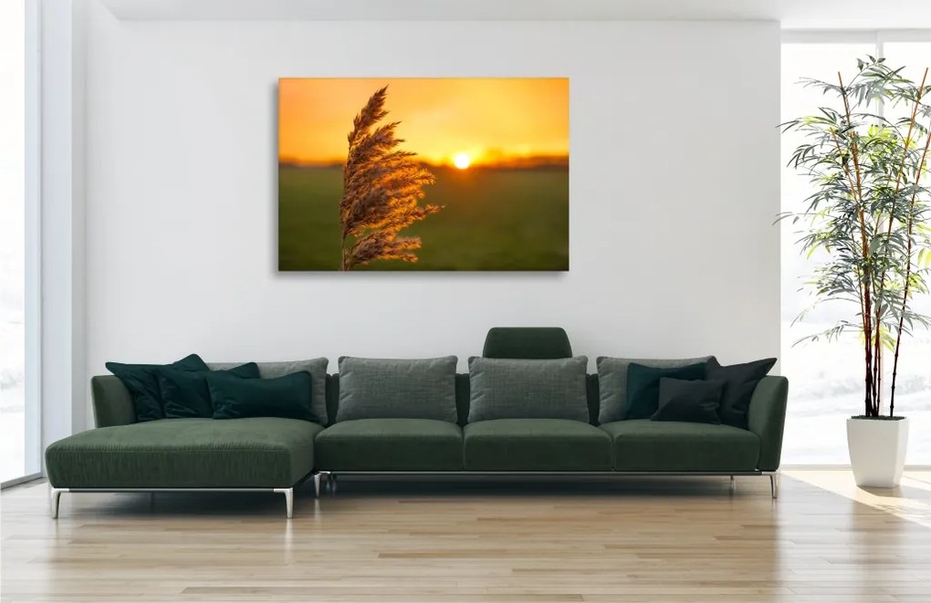 Obraz na plátně luční tráva Velikost (šířka x výška): 120x80 cm