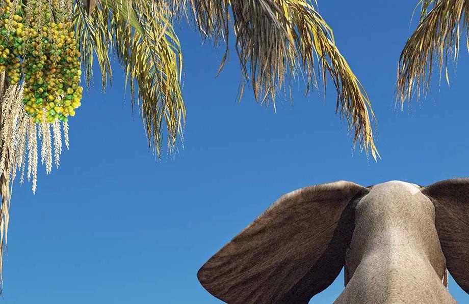 Obraz slon na pláži Velikost (šířka x výška): 40x30 cm