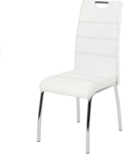 Sconto Jídelní židle NOEMI bílá/kov
