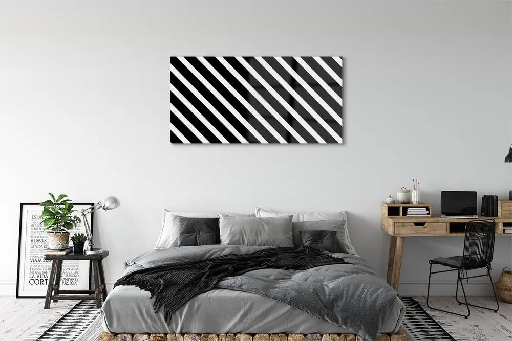 akrylový obraz zebra pruhy 125x50 cm