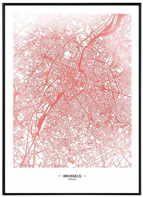 Brussels map - 50x70 cm Obraz