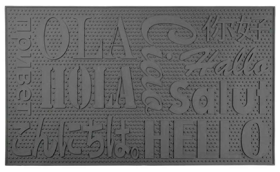 Rohožka 44x74,6 cm - Esschert Design