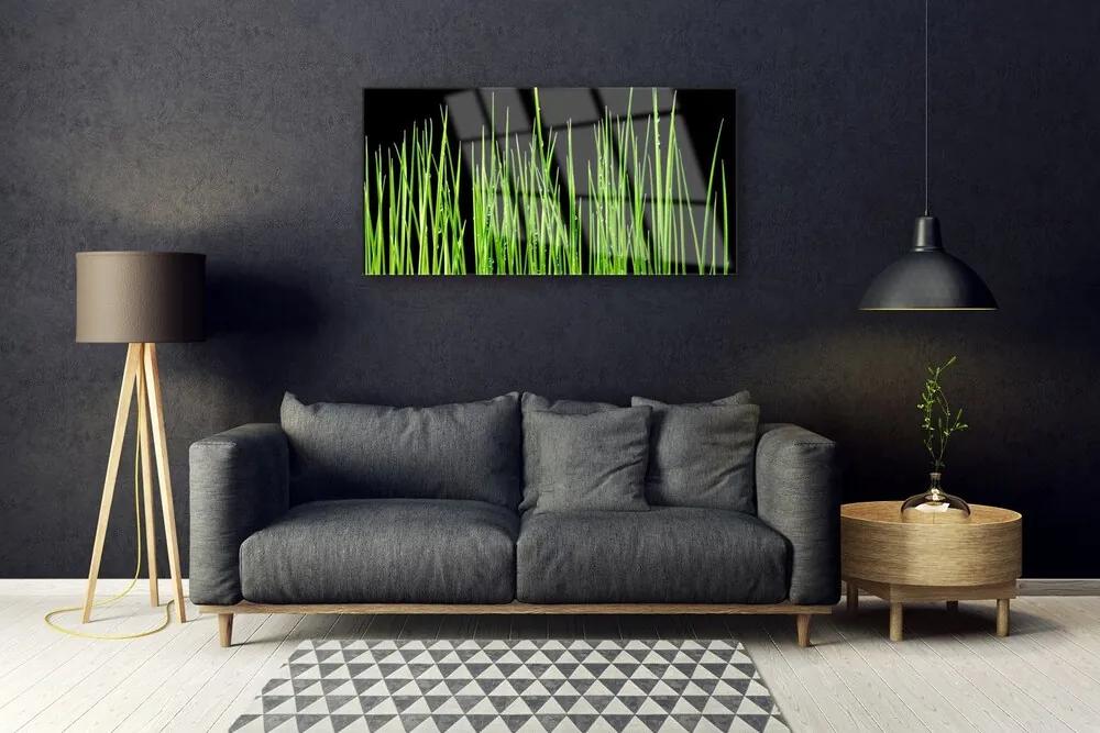 Obraz na skle Plevel 125x50 cm