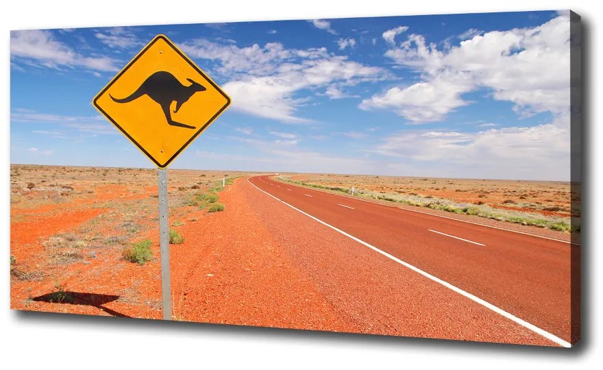 Wallmuralia Foto obraz na plátně do obýváku Cesta v Austrálii 100x50