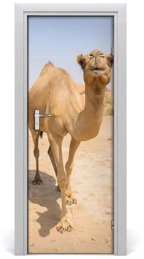 Samolepící fototapeta na dveře Velblou na poušti 75x205 cm