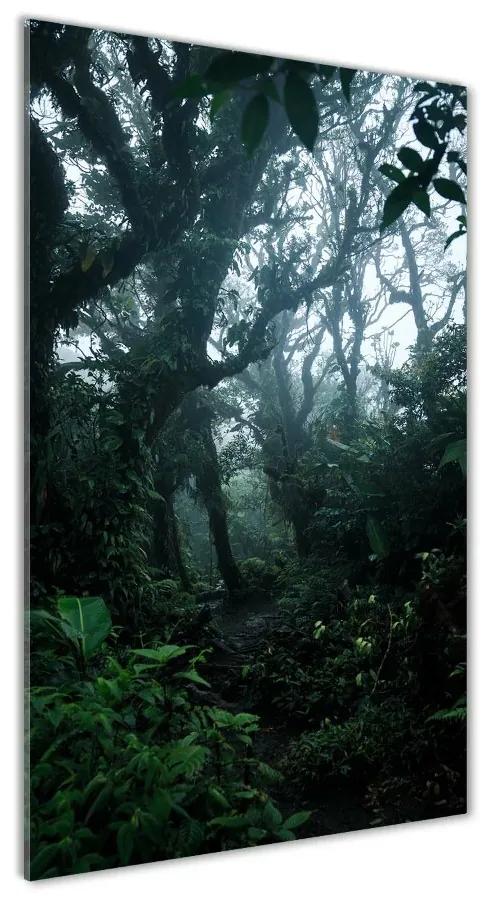 Wallmuralia Vertikální Foto obraz sklo tvrzené Deštný prales 50x100