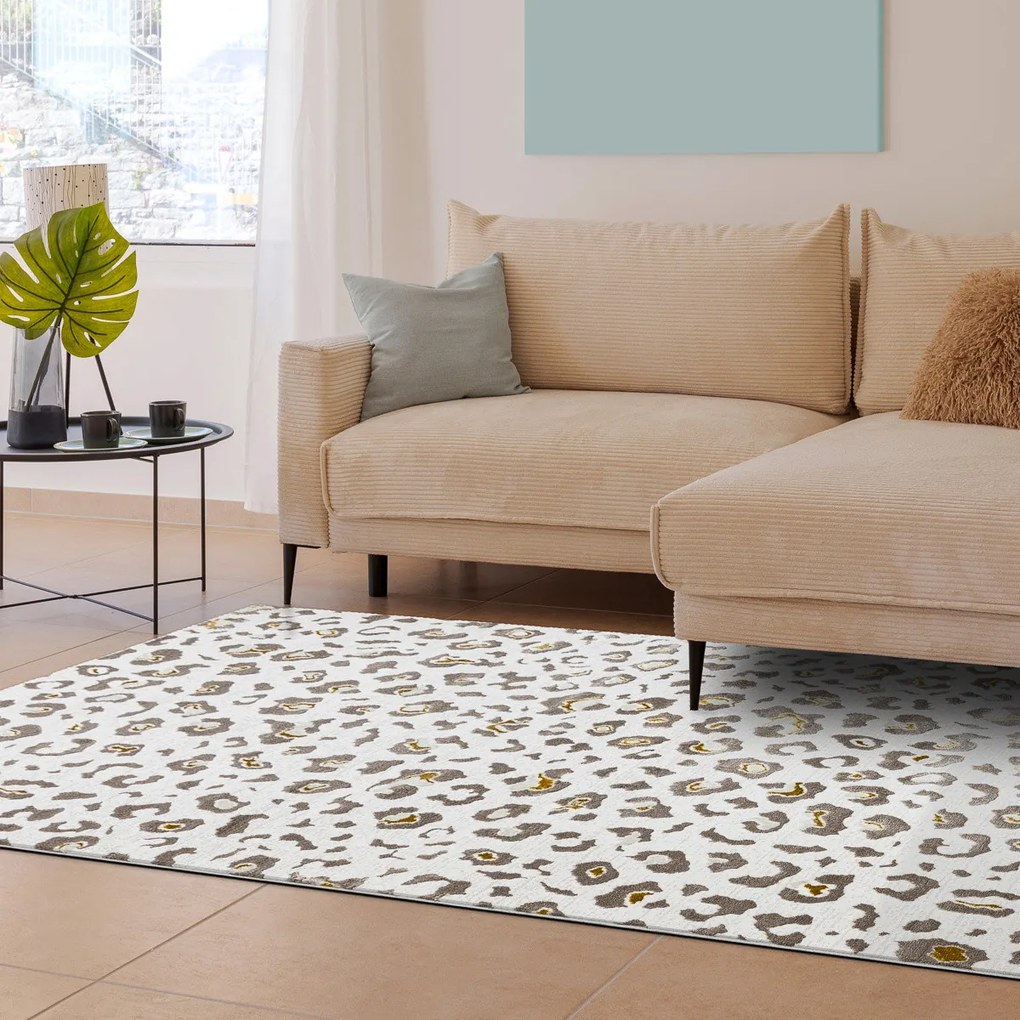 Dywany Łuszczów, Kusový koberec Bliss Z232AZ128 cream/beige, 160x220, béžová, kancelář