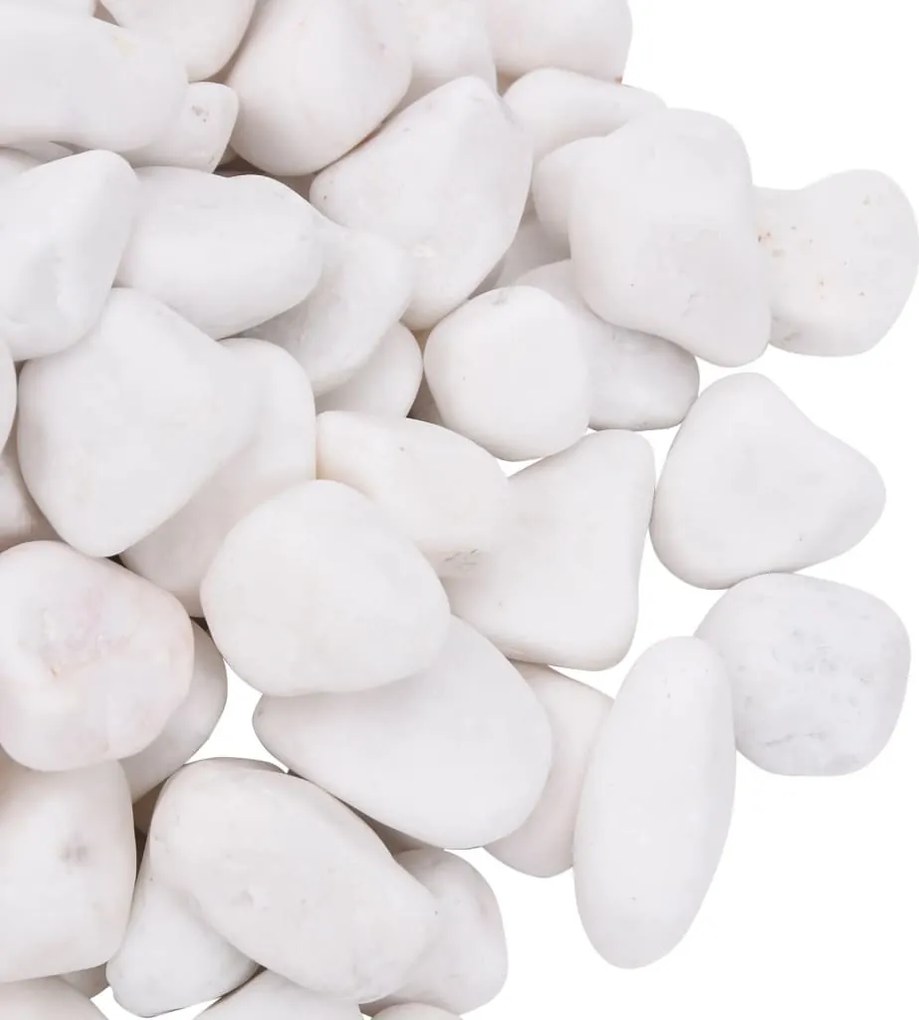 vidaXL Leštěné oblázky 10 kg 2–5 cm [155329] Barva: Bílá