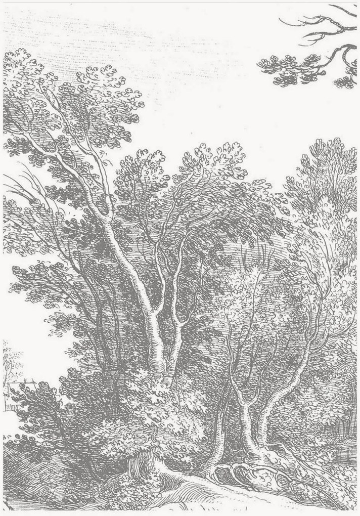 Tapeta Engraved Landscapes V