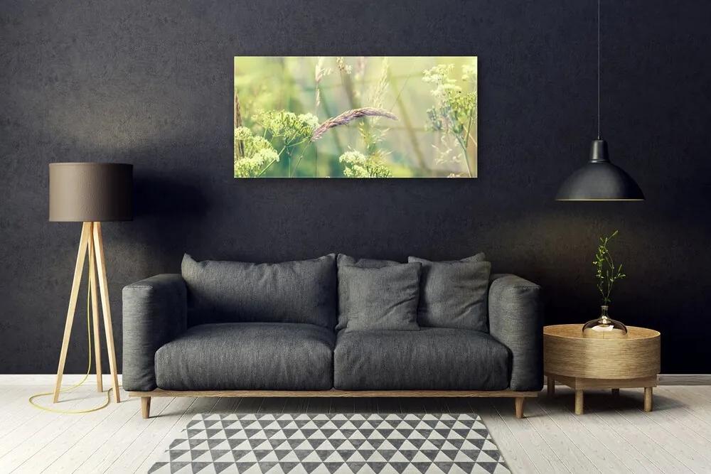 Obraz na skle Divoké Rostliny Příroda 125x50 cm