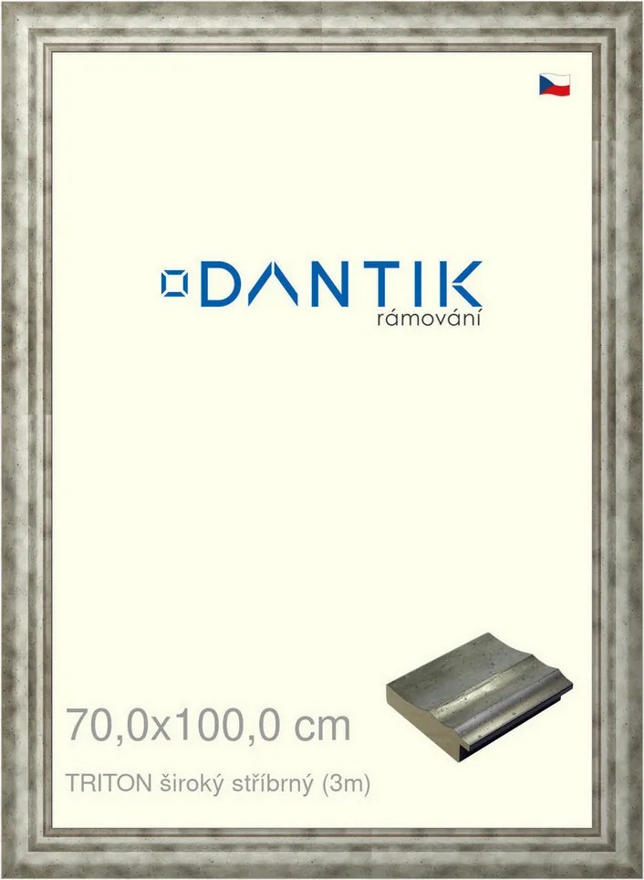 DANTIK rámeček 70x100 | TRITON široký stříbrný (Plexi Čiré)