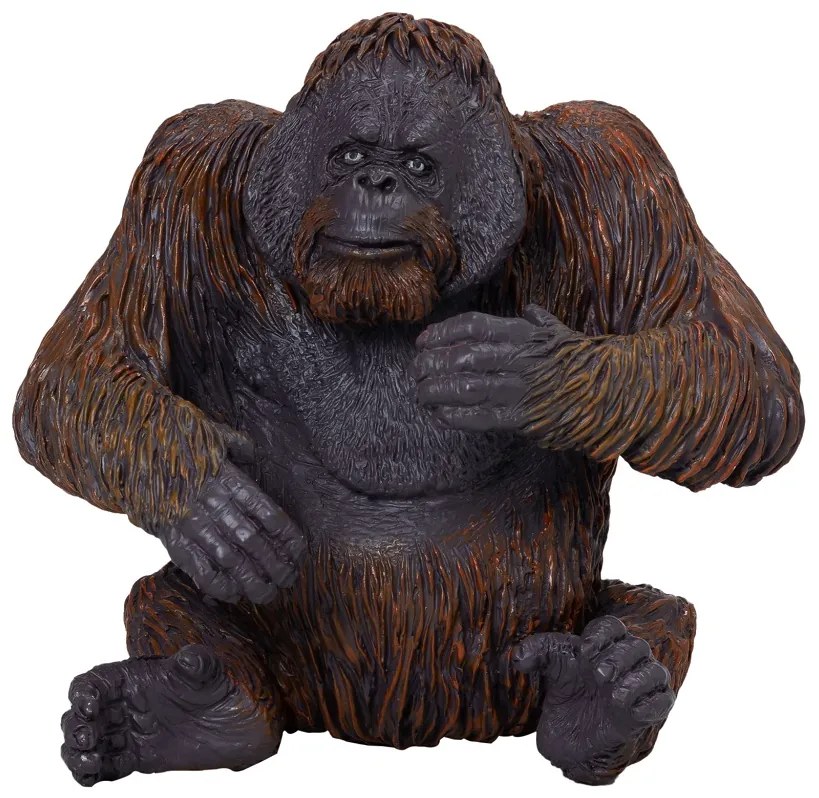 Mojo Orangutan