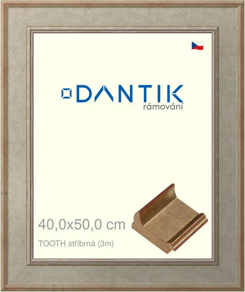 DANTIK rámeček 40x50 | TOOTH stříbrná (Plexi Čiré)