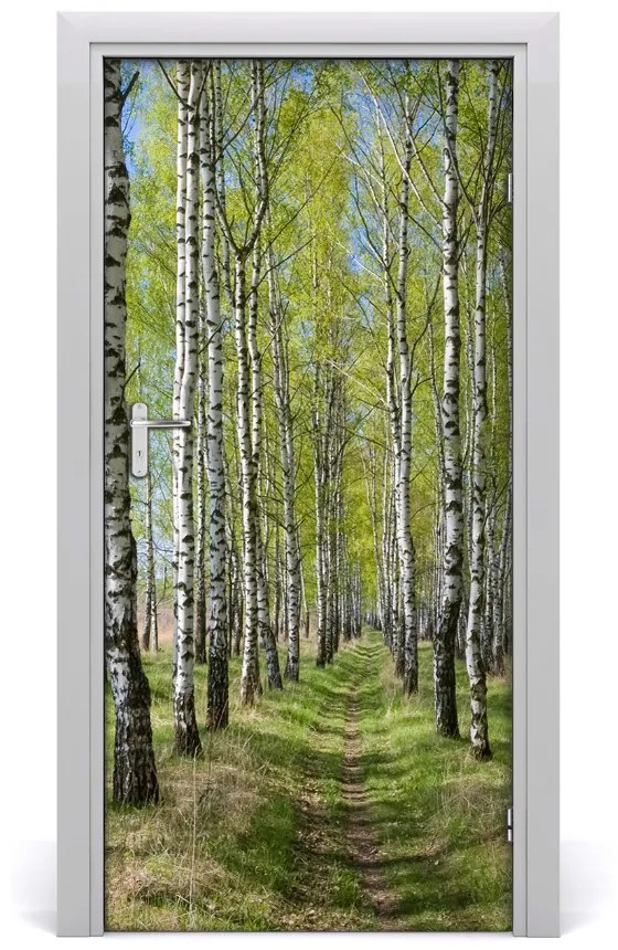 Fototapeta na dveře samolepící břízový les 85x205 cm