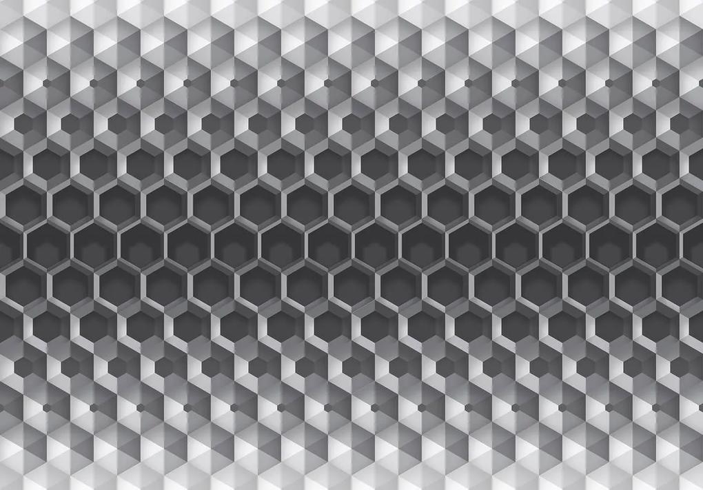 Fototapeta - 3D šestiúhelníky (254x184 cm)