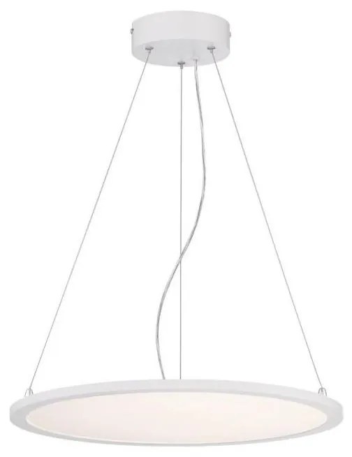 Westinghouse Westinghouse 65751 - LED Stmívatelný lustr na lanku ATLER LED/32W/230V 45 cm P5514