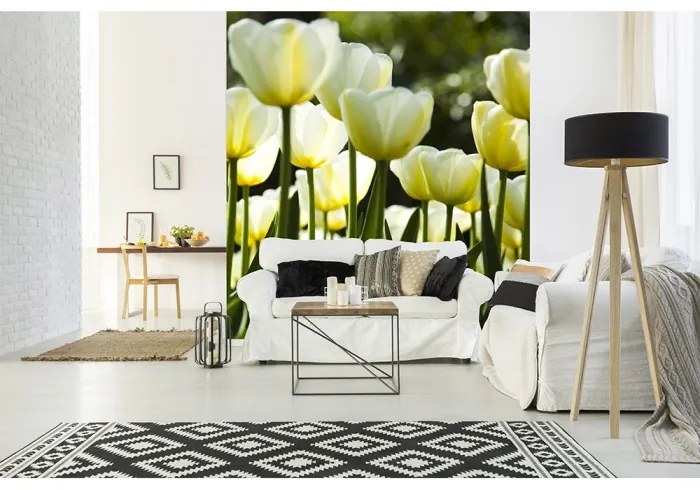 DIMEX | Vliesová fototapeta na zeď Bílé tulipány MS-3-0127 | 225 x 250 cm | žlutá, zelená, bílá