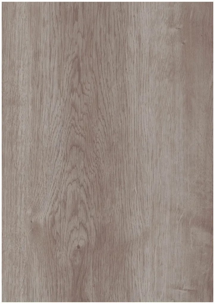 Oneflor, Vinylová podlaha lepená ECO 30 062 Noble Oak Greige - dub, 1219,2 x 185 mm