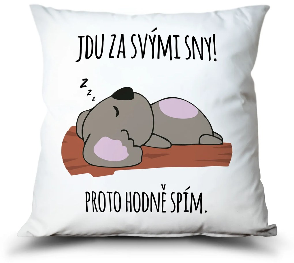 Ahome Polštář Jdu za svými sny! Hodně spím. 37 x 37 cm