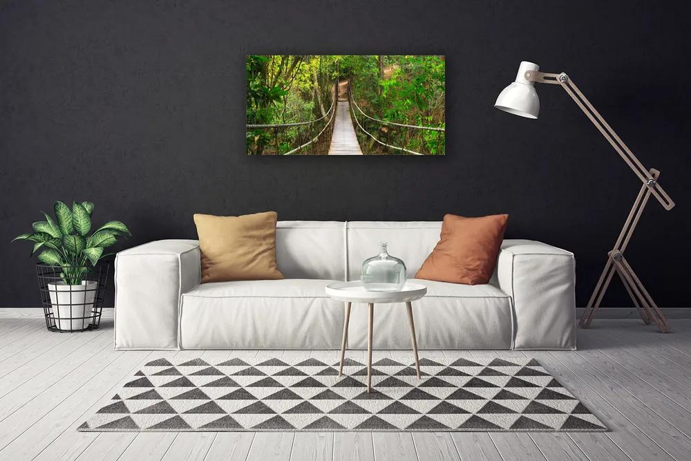 Obraz na plátně Most Džungle Tropický Les 100x50 cm