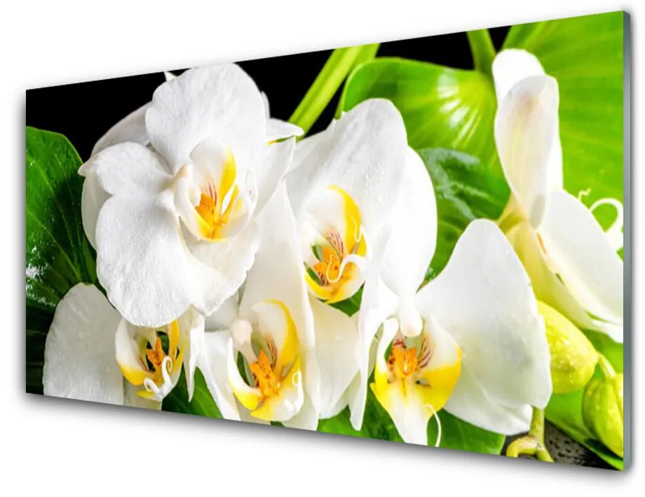 Plexisklo-obraz Orchidej Květiny Příroda 140x70 cm