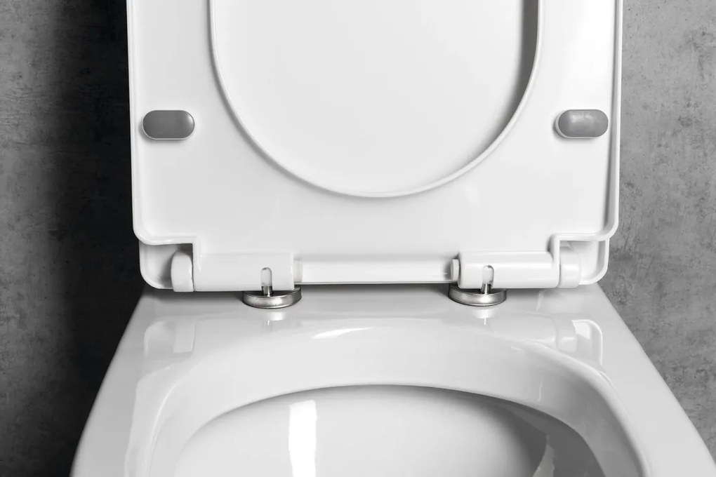 Aqualine Aqualine, VERMET WC sedátko, Soft Close, bílá, VRS008