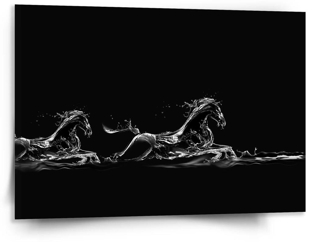Obraz SABLIO - Vodní kůň 150x110 cm
