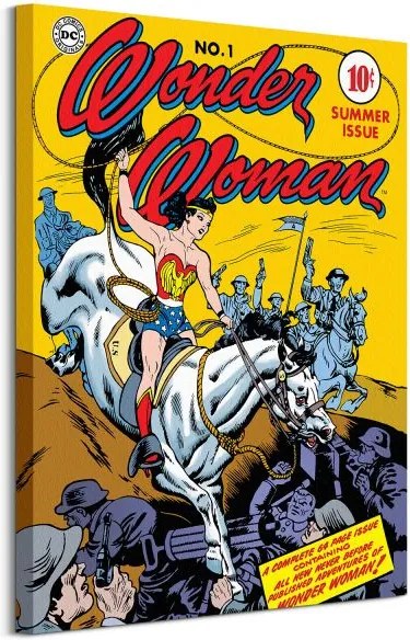 Obraz na plátně DC Comics Wonder Woman (Adventure) 60x80cm WDC99981