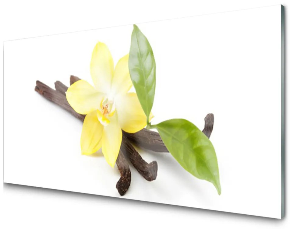 Skleněný obraz Vanilka Listy Rostlina