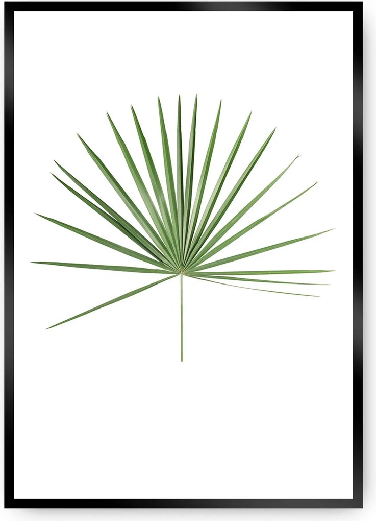 Plakát Tropical Leaf Green