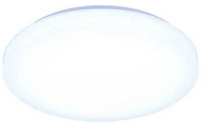 LED Stmívatelné stropní svítidlo s hlasovým ovládáním OPAL LED/48W/230V + DO