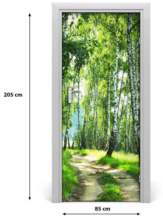 Fototapeta na dveře břízový les 85x205 cm