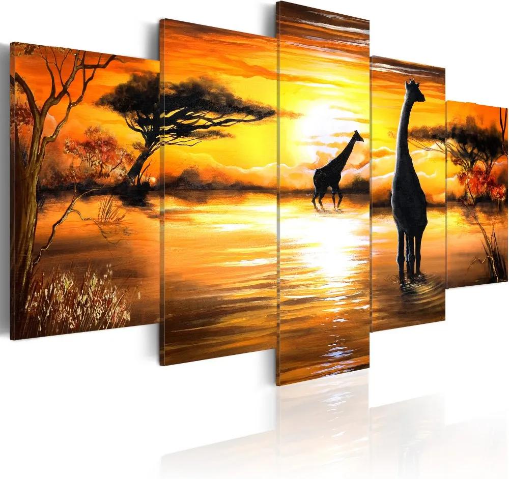 Obraz na plátně Bimago - Giraffes at watering hole 100x50 cm