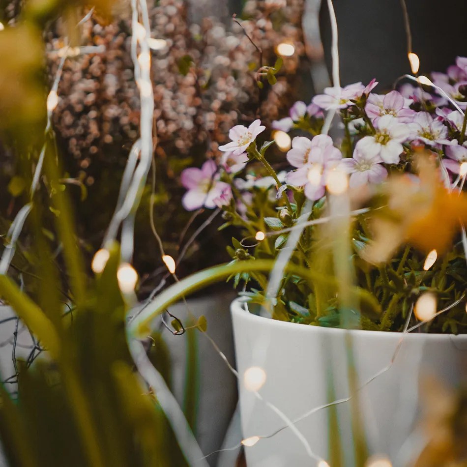 LED světelný řetěz, 10 x 2 m, teple bílá, 240 diod