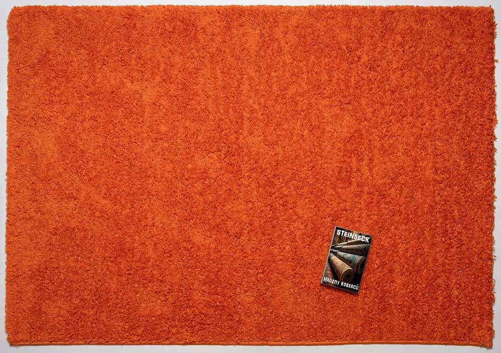 Mono Carpet, Kusový koberec Efor Shaggy 3419 Orange, 80x150, oranžová, ložnice