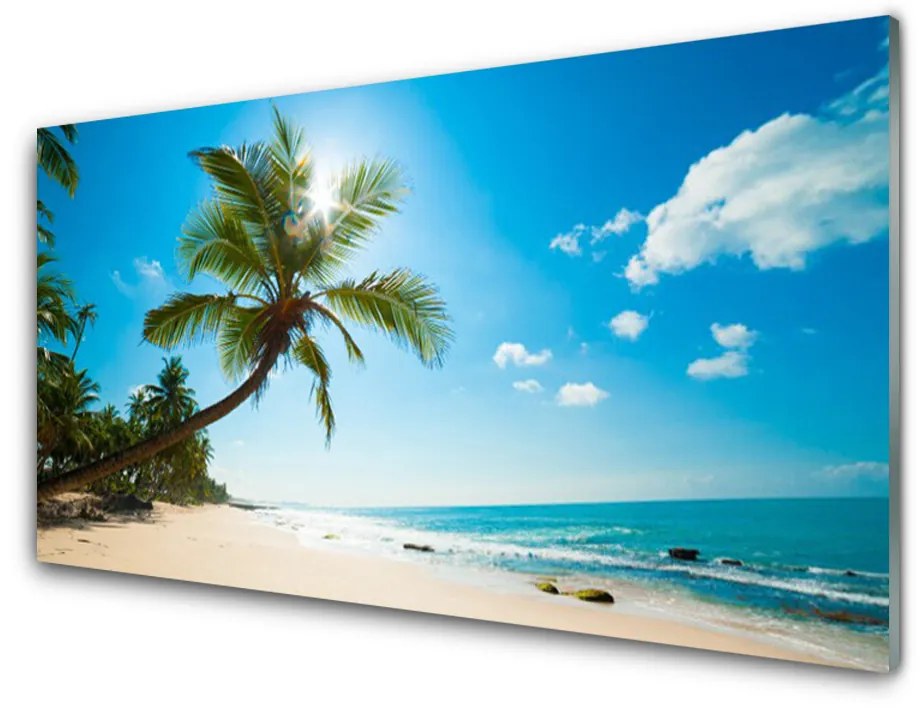 akrylový obraz Palma Strom Pláž Krajina 125x50 cm