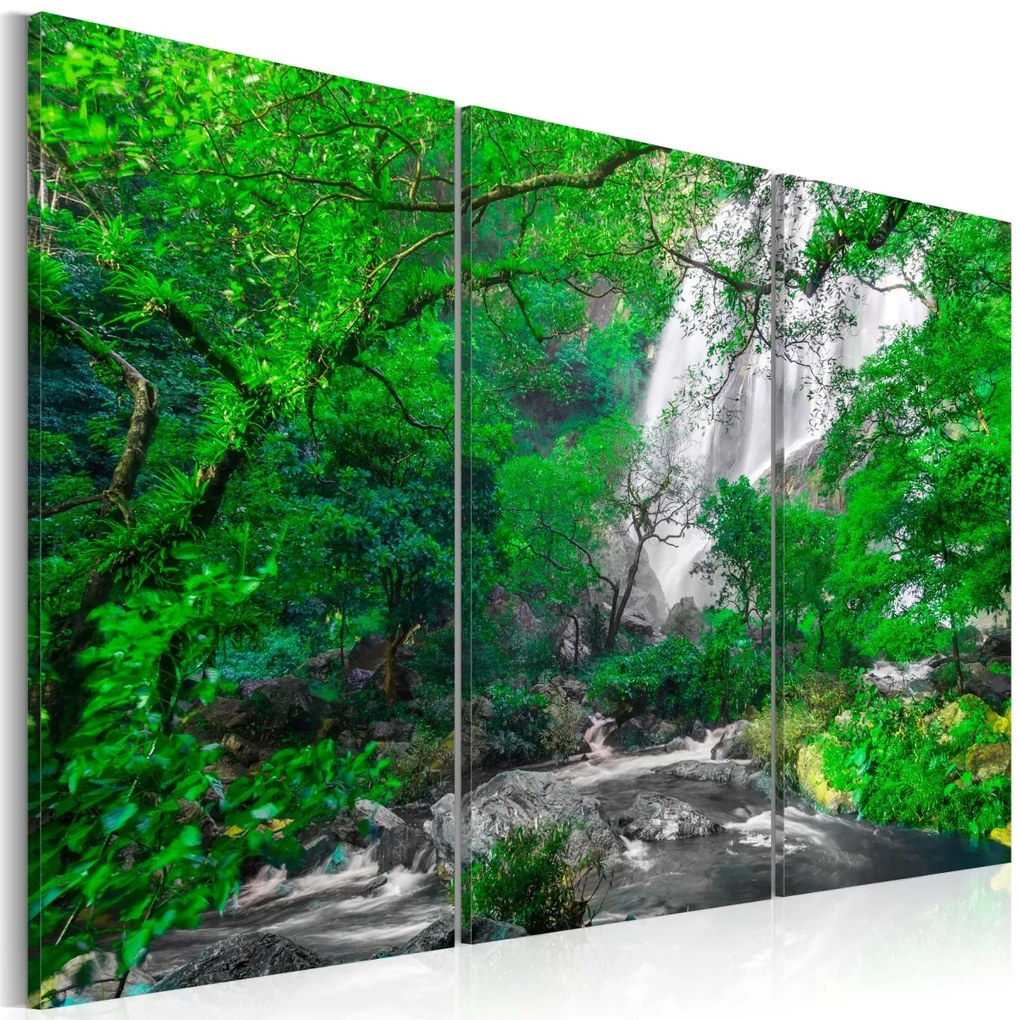 Tajemství lesa (150x100 cm) - Murando DeLuxe