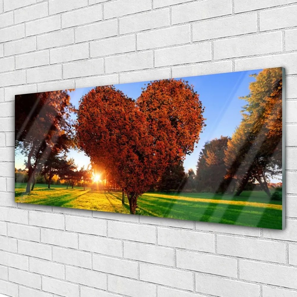 Plexisklo-obraz Strom Srdce Přírdoa 125x50 cm