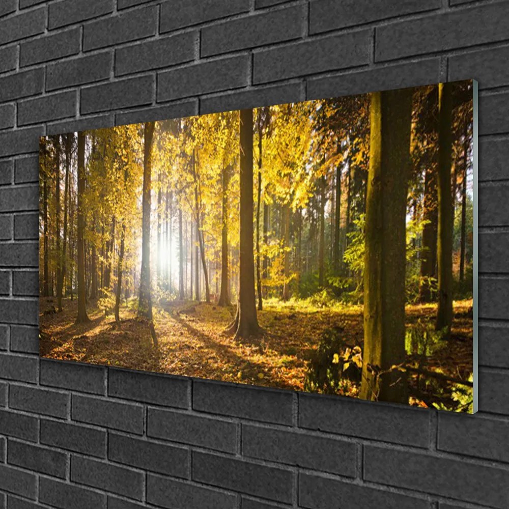 Obraz na skle Les Listy Rostlina Příroda 120x60 cm