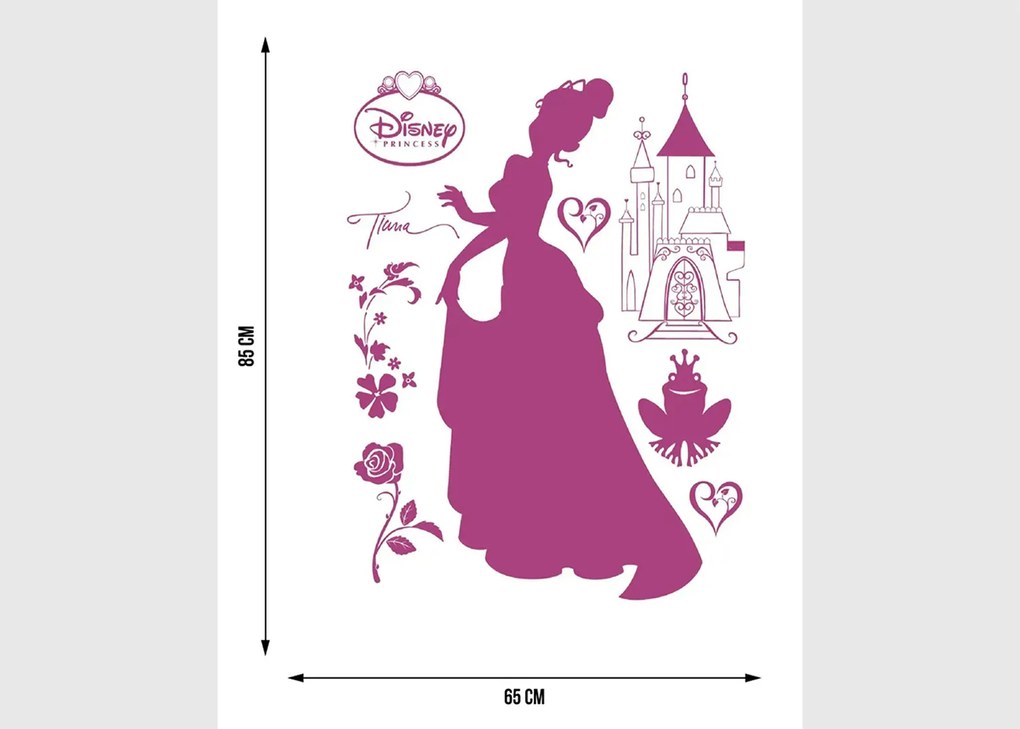 Dětská samolepka na zeď Disney Princezna a žabák | 65 x 85 cm | DDK873
