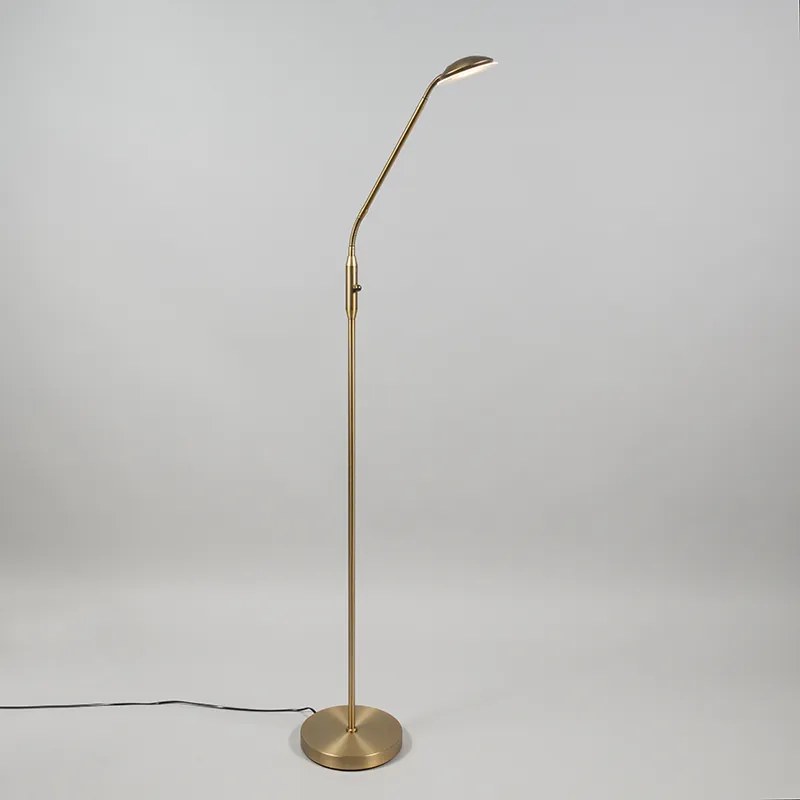 Moderní bronzová stojací lampa včetně LED - Eva