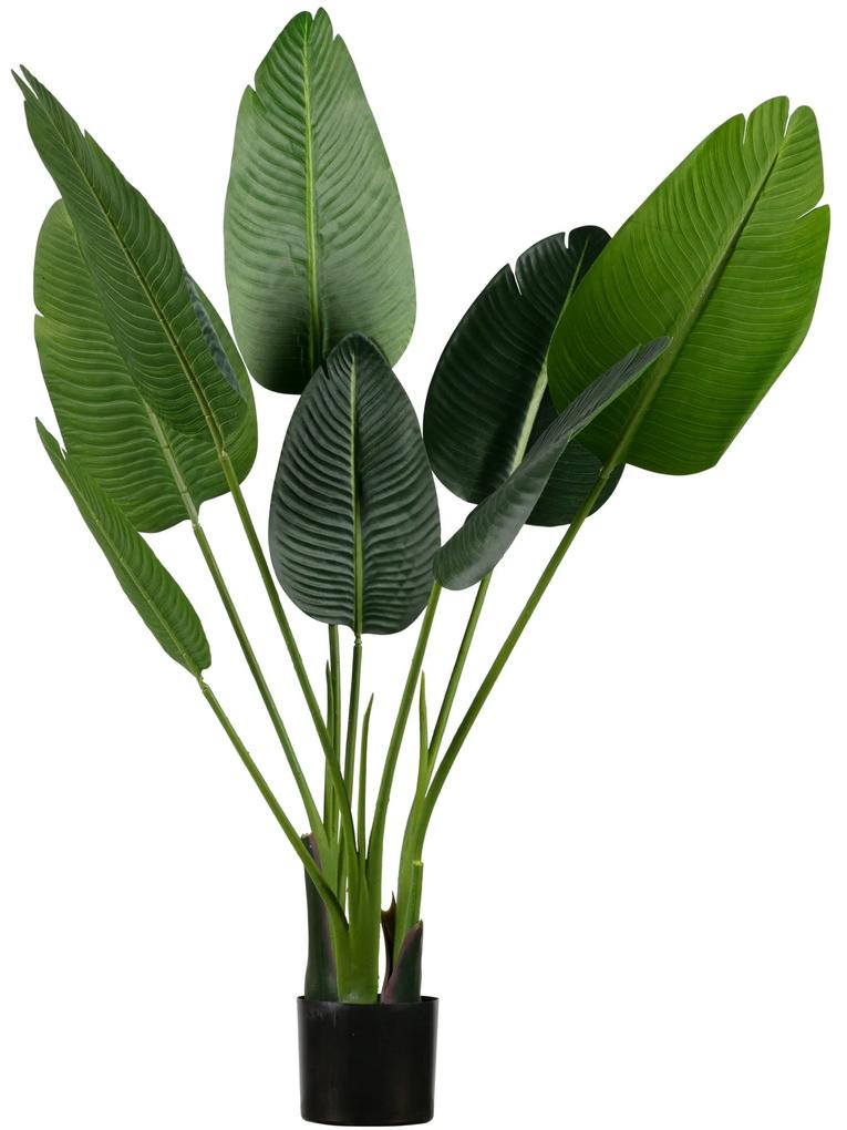 WOOOD Umělá rostlina STRELITZIA 108cm