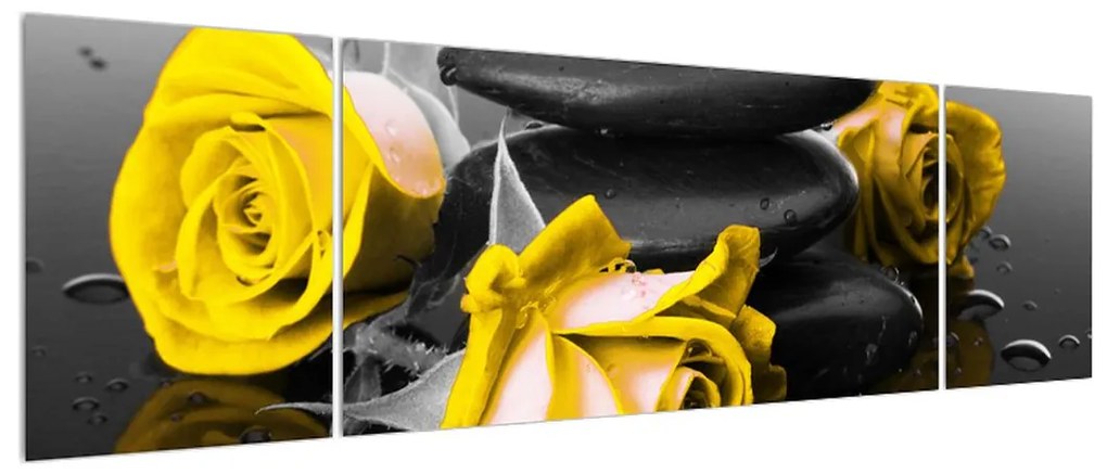 Obraz žlutých růží (170x50 cm)