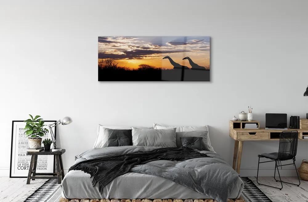 akrylový obraz Žirafy strom mraky 120x60 cm